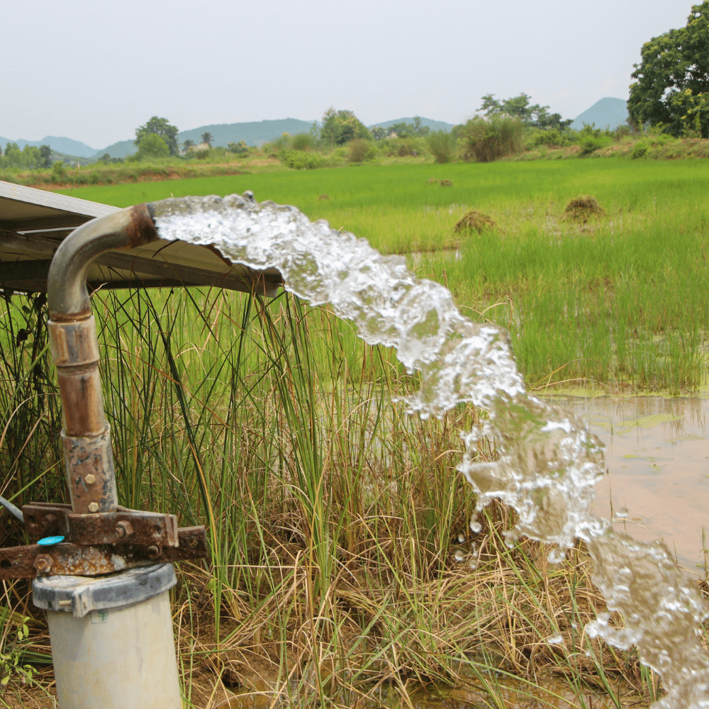 Bore Water Testing for Vineyards – Quality, Compliance, Protection
